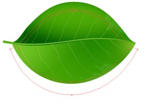 How to Create a Realistic Green Leaf Vector in Illustrator