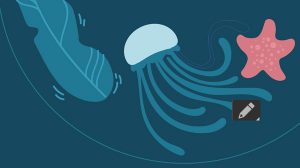 Ocean Design: Learn to Create Using Adobe Illustrator